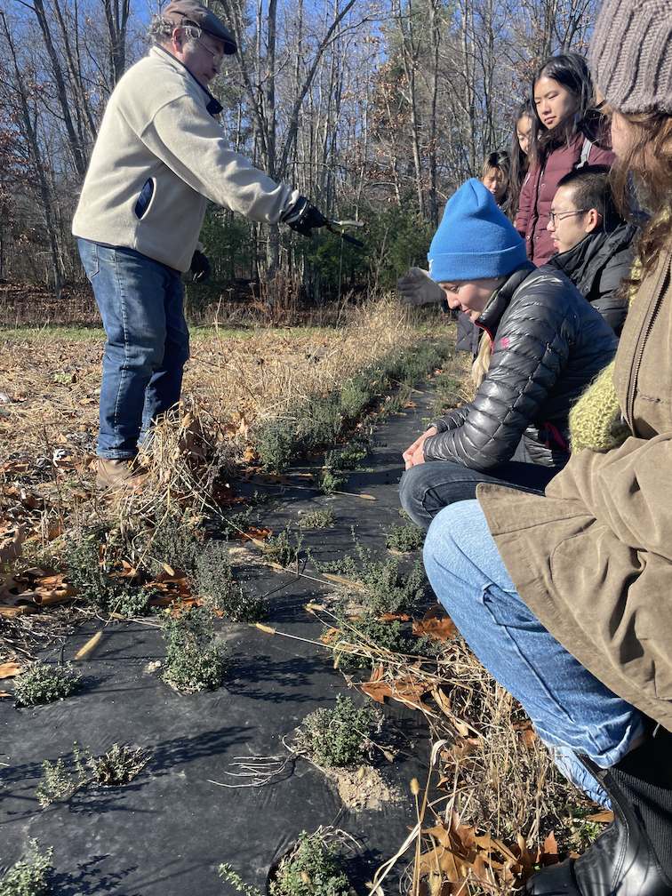 MIT students visit local farm supporting healthy food systems | MIT Sustainability